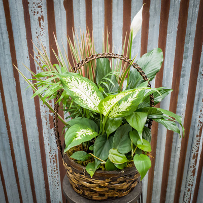 Marion Flower Shop :: Florist & Gift Center Marion, OH :: Flower ...