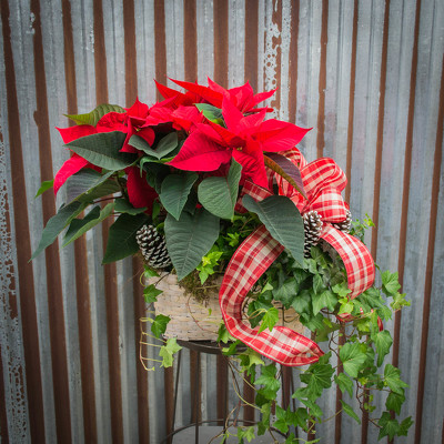 Marion Flower Shop :: Florist & Gift Center Marion, OH :: Flower ...
