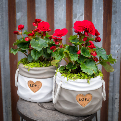 Marion Flower Shop :: Florist & Gift Center Marion, OH :: Flower ...